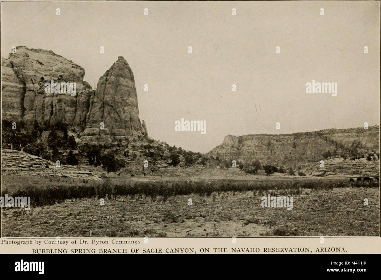 Arizona, the wonderland; the history of its ancient cliff and cave ...