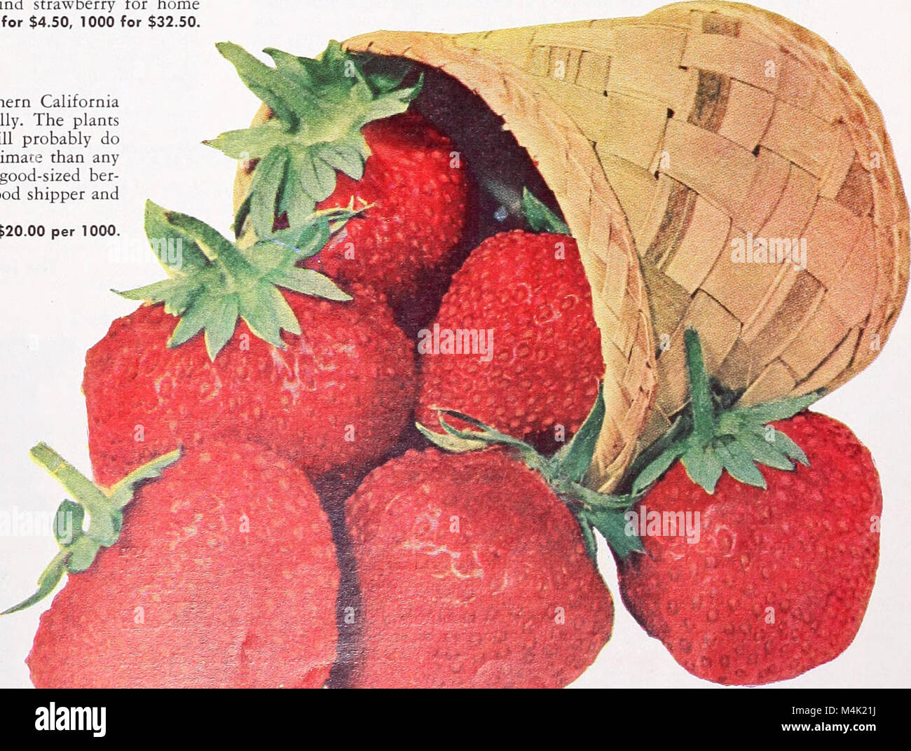 The 1952 catalog from Armstrong Nurseries offers a variety of plants ...