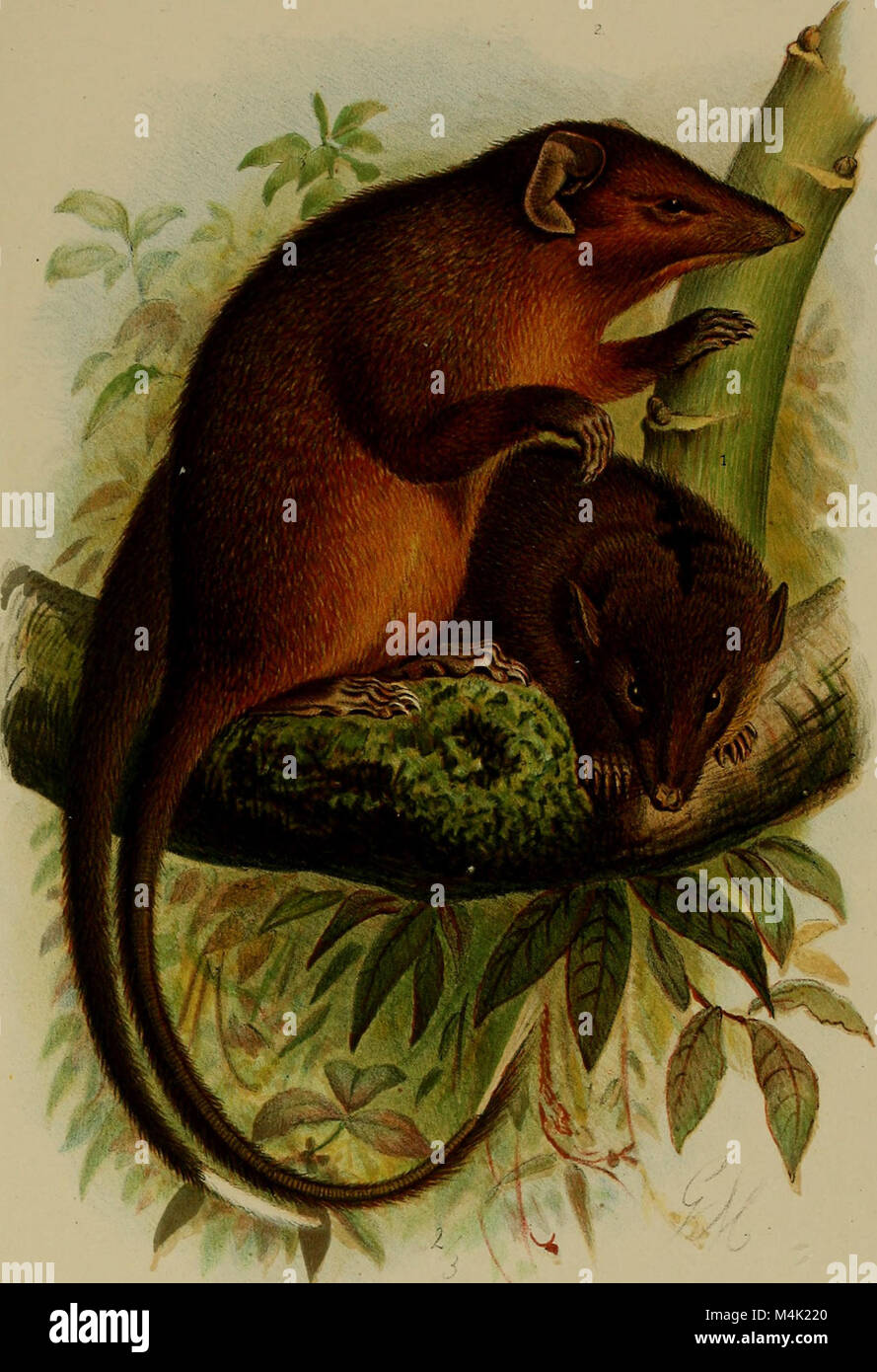 A historical journal from 1880 publishing research and findings from ...