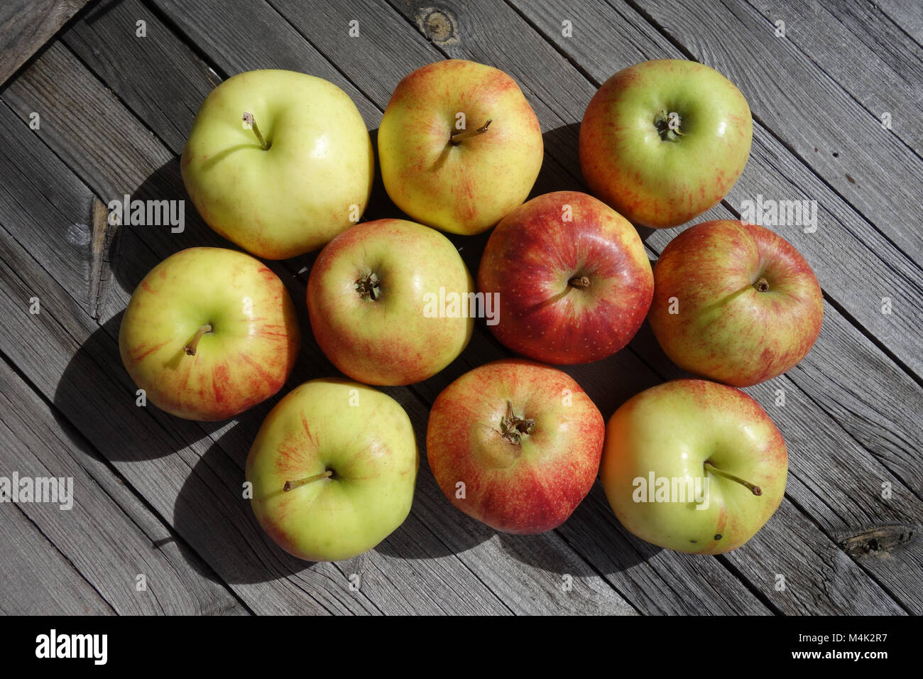 Apple malus malus domestica sort hi-res stock photography and images ...