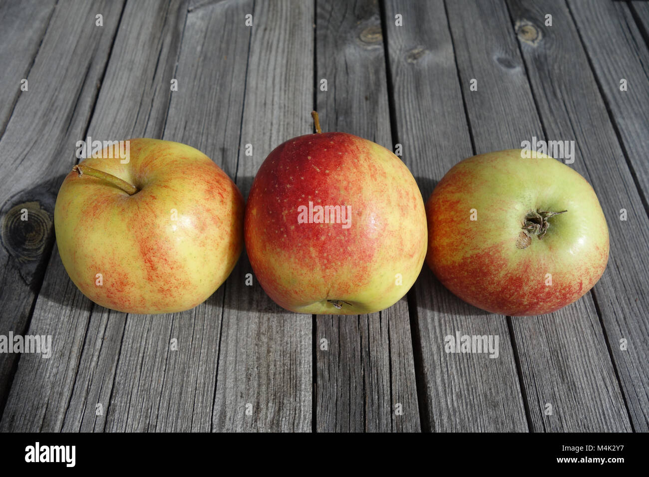 Malus domestica Jonagored, apple-sort Stock Photo - Alamy