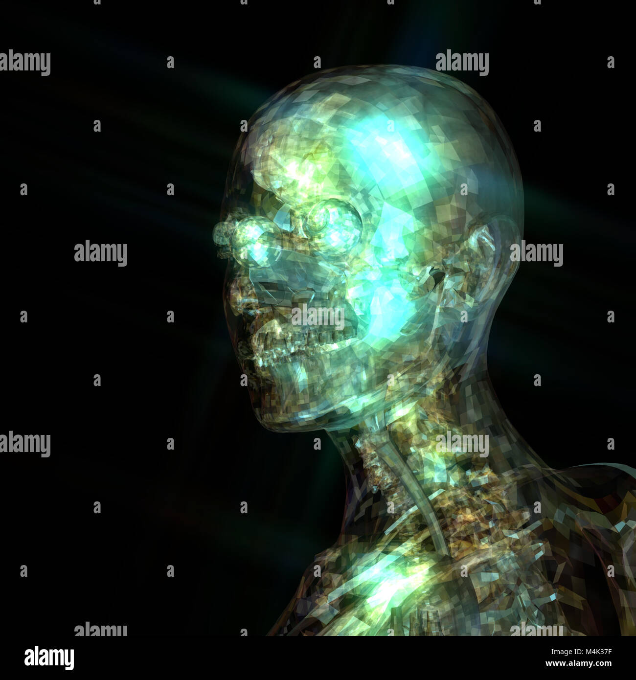 3D Illustration of a human Anatomy Stock Photo - Alamy