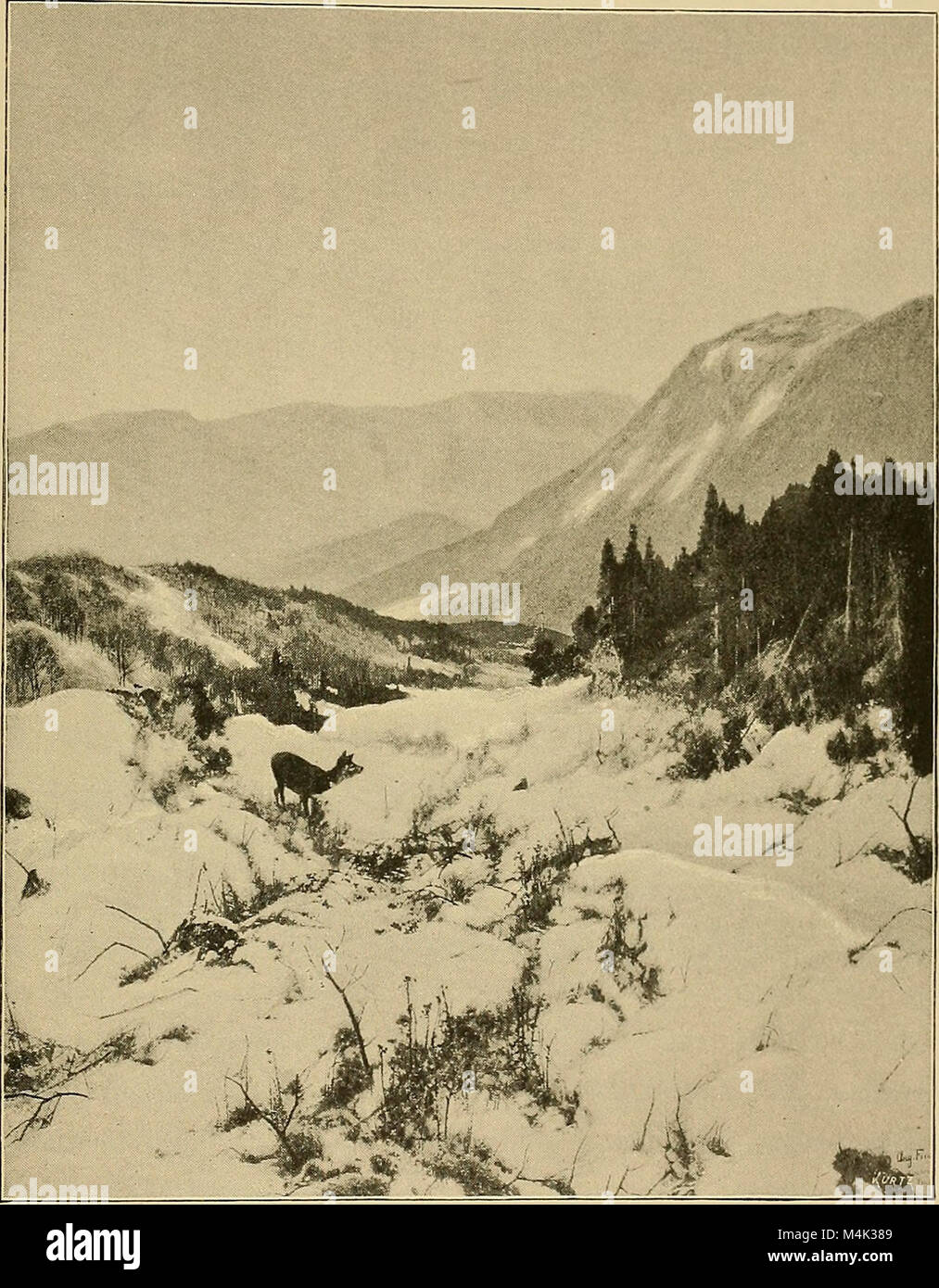 'Art and Artists of Our Time' (1888) explores the work and impact of ...