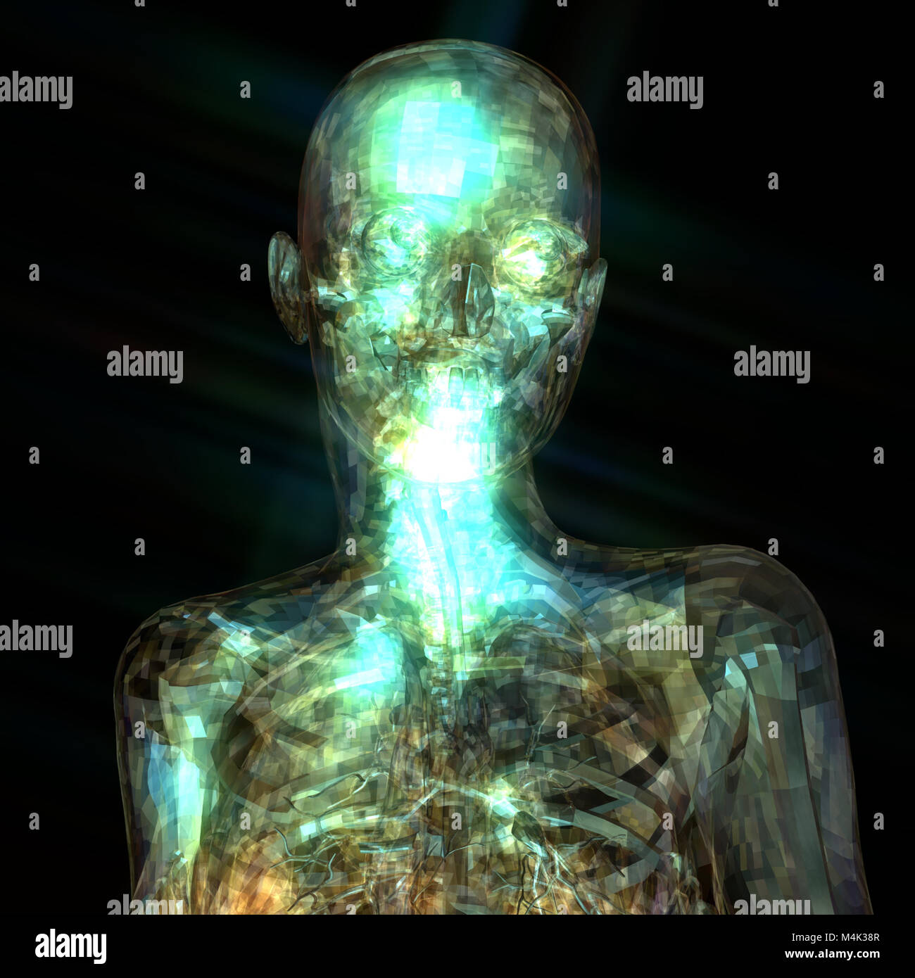 3d human animation hi-res stock photography and images - Alamy