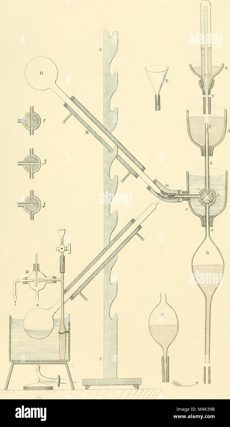 The 1874 'Annales des sciences naturelles' publishes significant ...