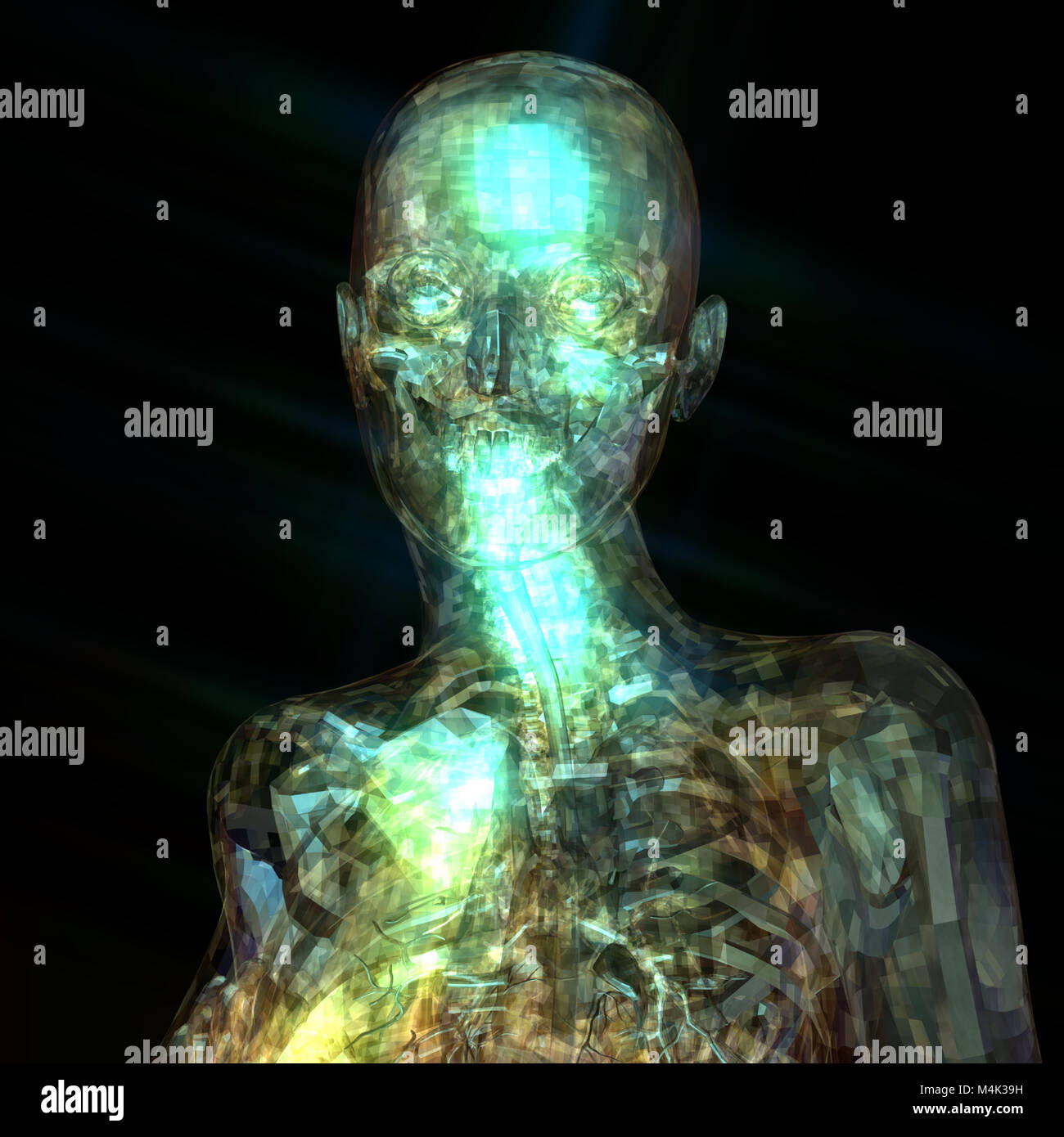 3D Illustration of a human Anatomy Stock Photo - Alamy