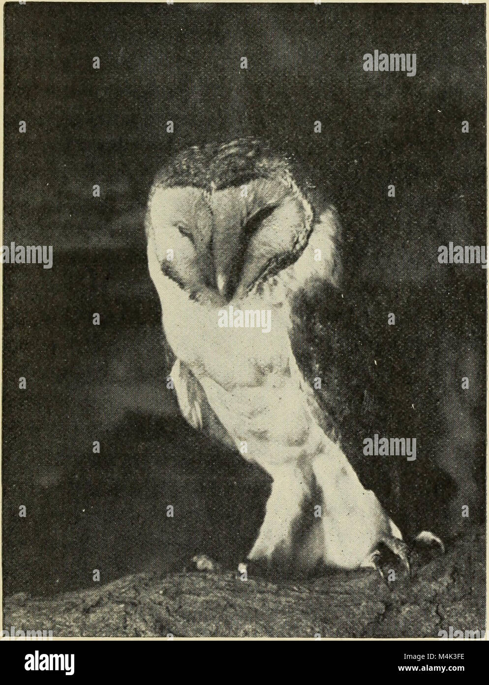 This 1901 guide on art crafts provides detailed instructions for ...