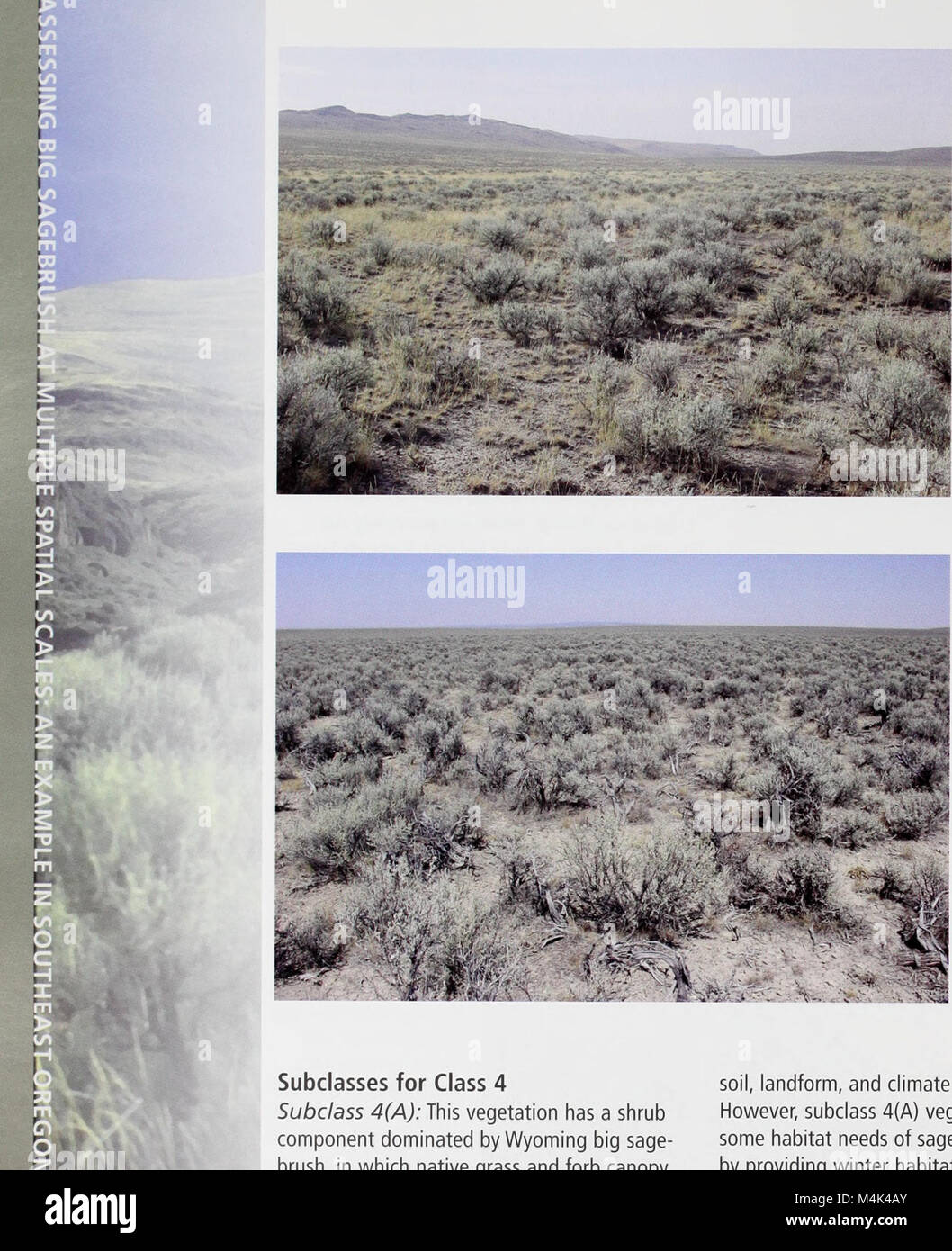 Assessing big sagebrush at multiple spatial scales - an example in ...