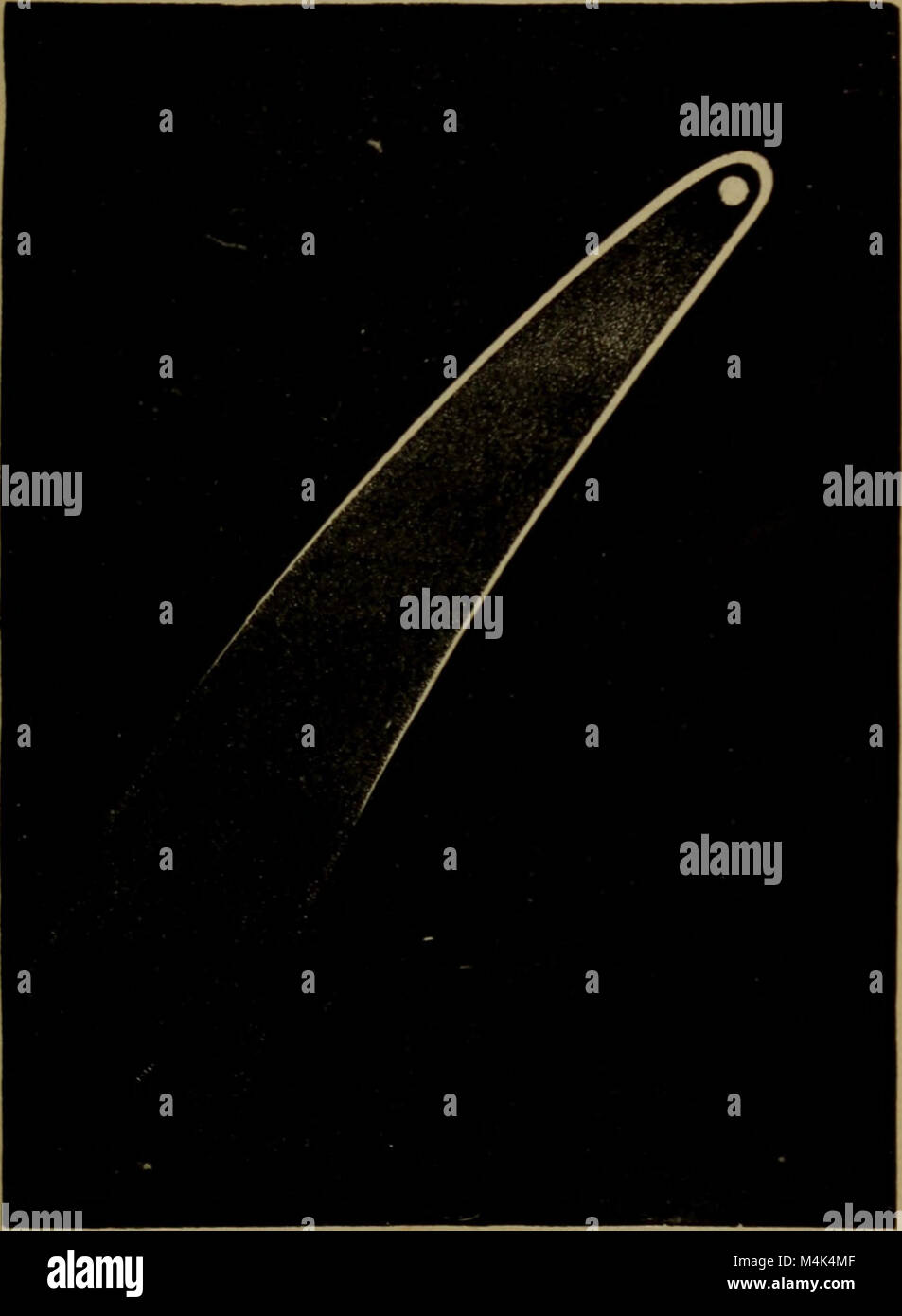 'Astronomy for High Schools and Colleges' (1881) is an educational ...