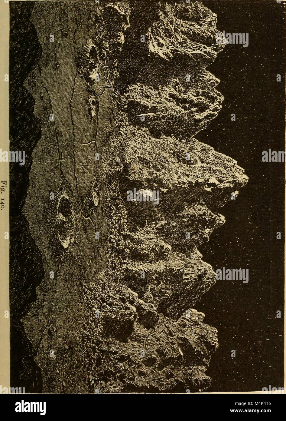 This 1882 astronomy textbook was designed for schools and academies ...