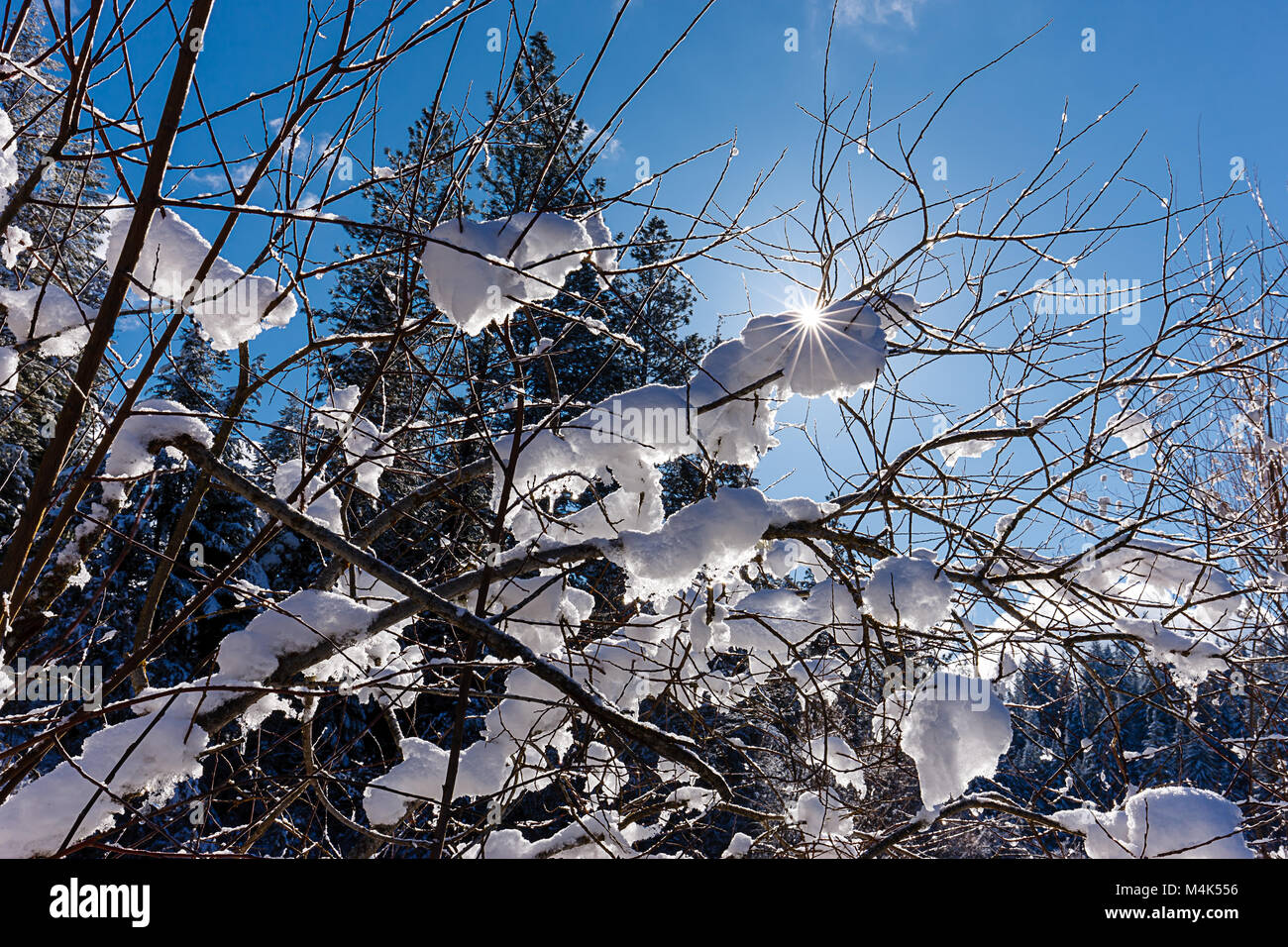 Hayden idaho hi-res stock photography and images - Alamy