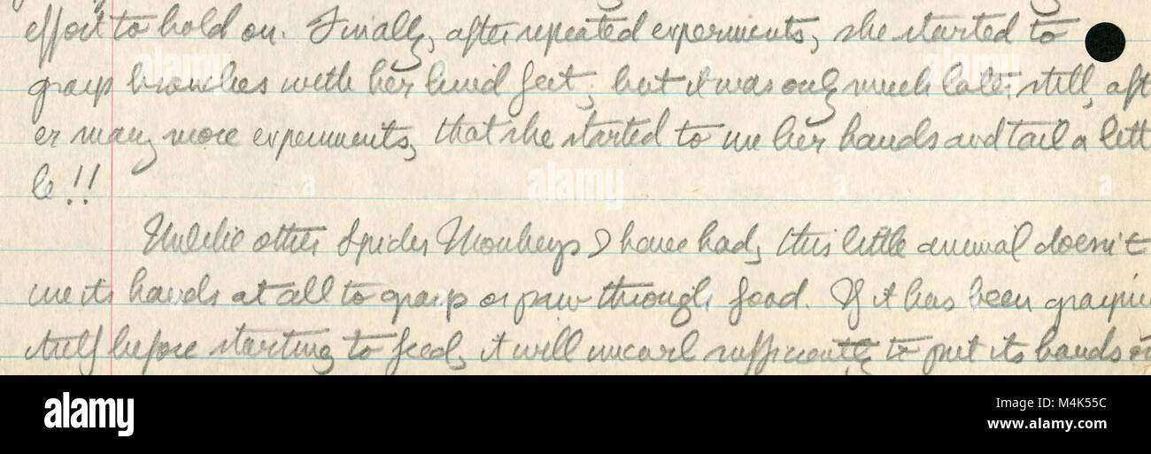 This study on Ateles species (monkeys) conducted on Barro Colorado ...