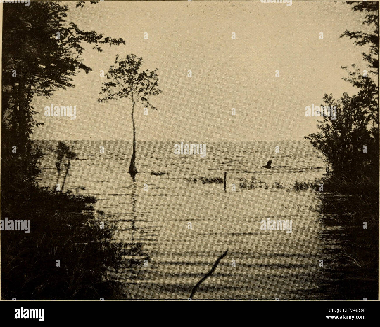 'Athletics and Manly Sport' (1890) explores the role of sports in ...