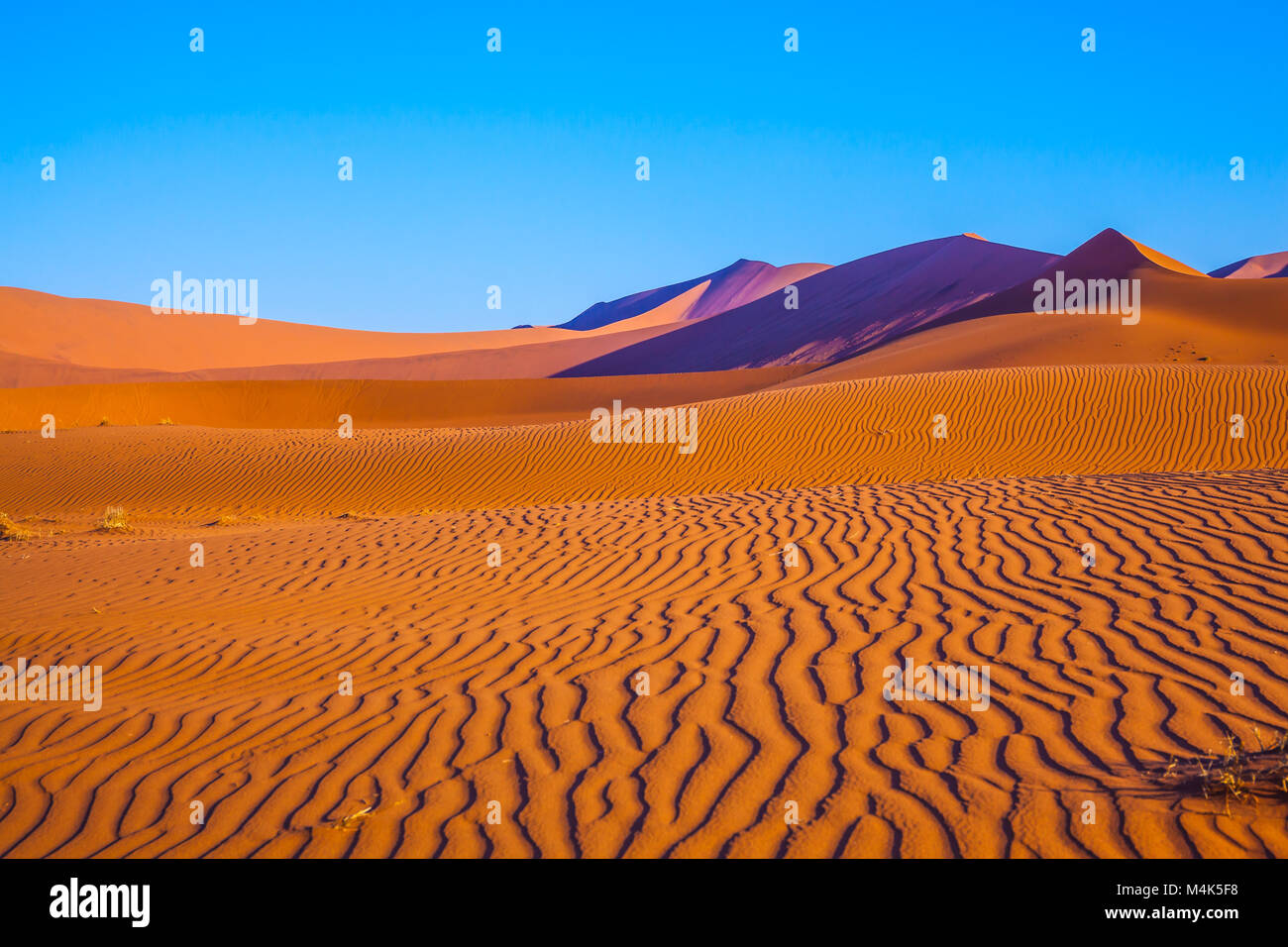 The dunes and sandy orange waves Stock Photo - Alamy
