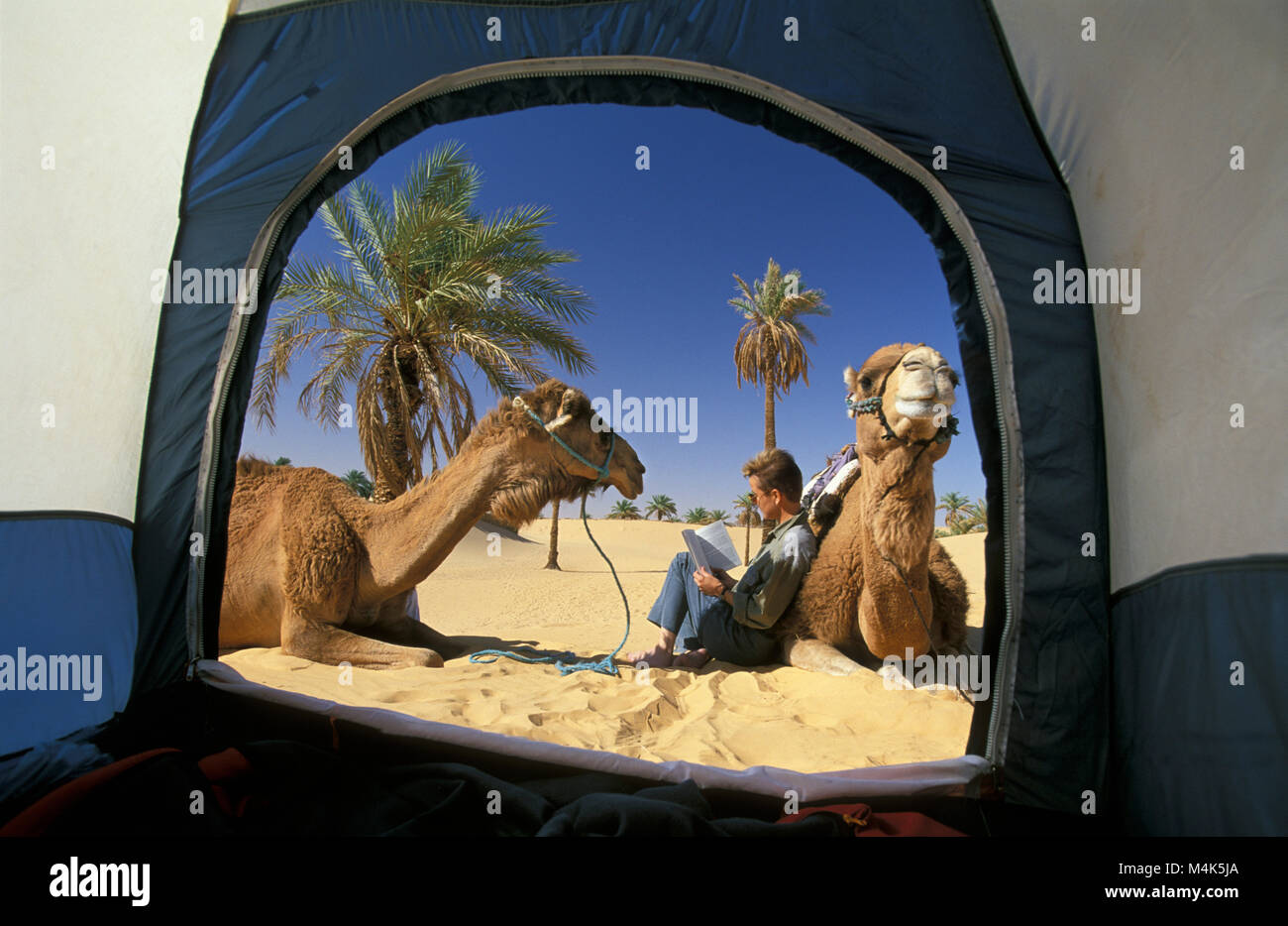 Palm reading tent hi-res stock photography and images - Alamy