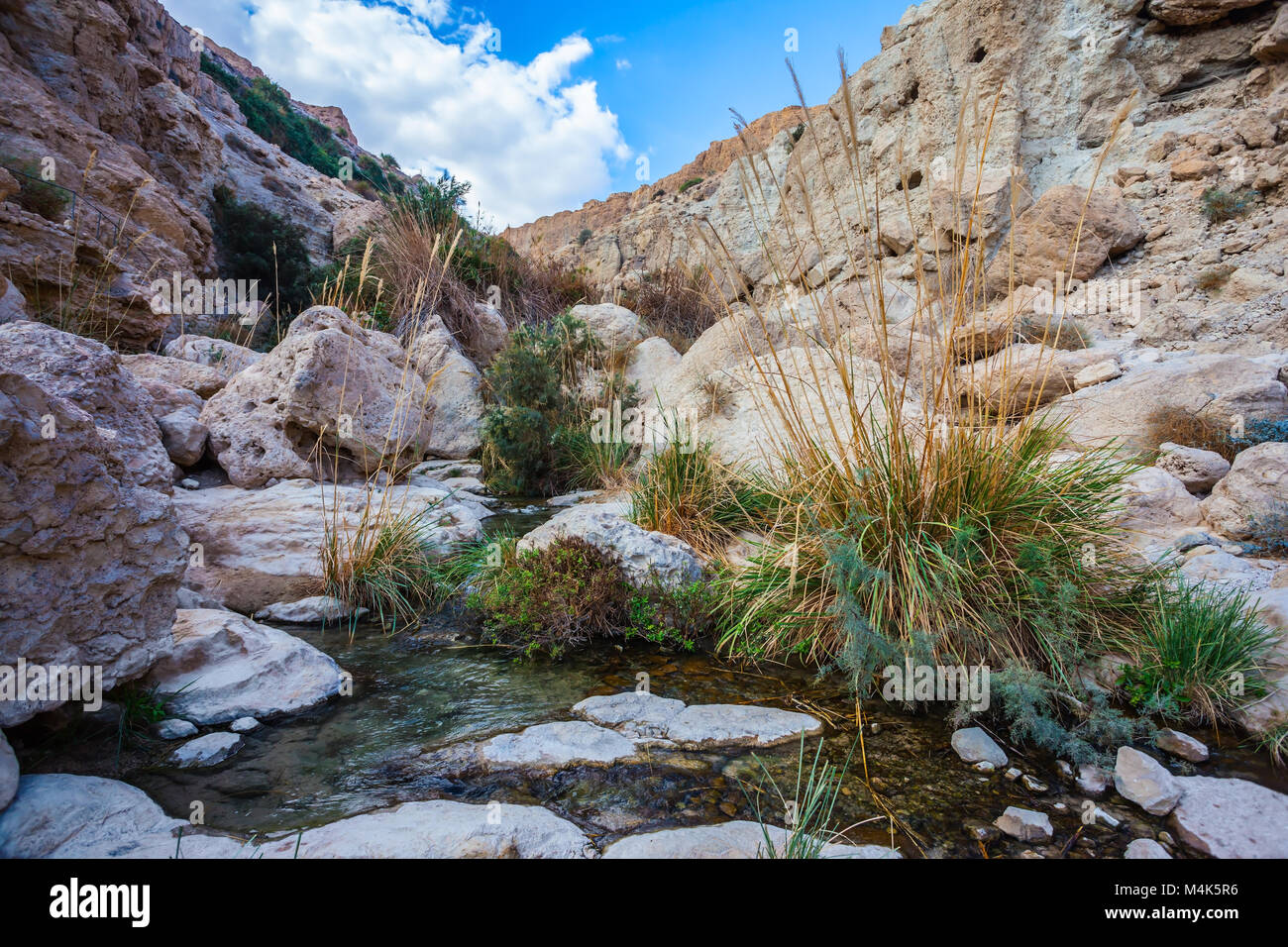 Typical Middle Eastern landscape Stock Photo - Alamy