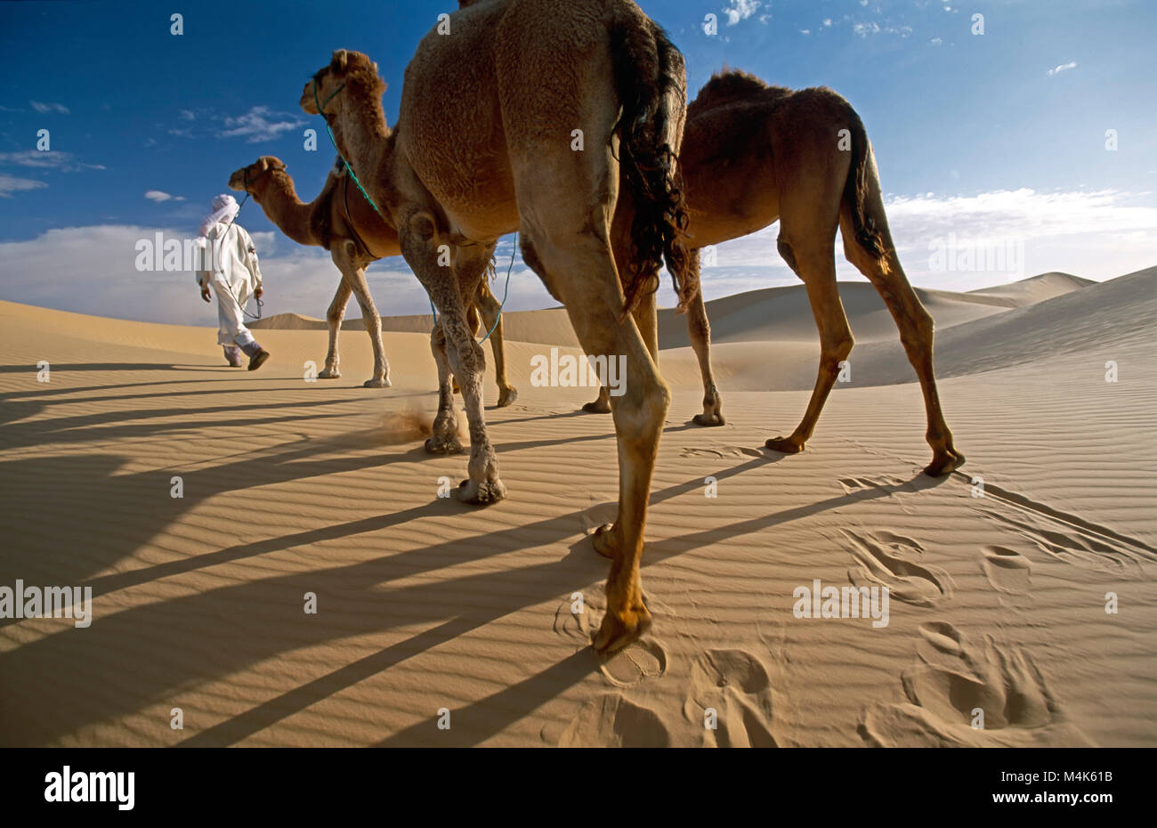 Timimoun people hi-res stock photography and images - Alamy
