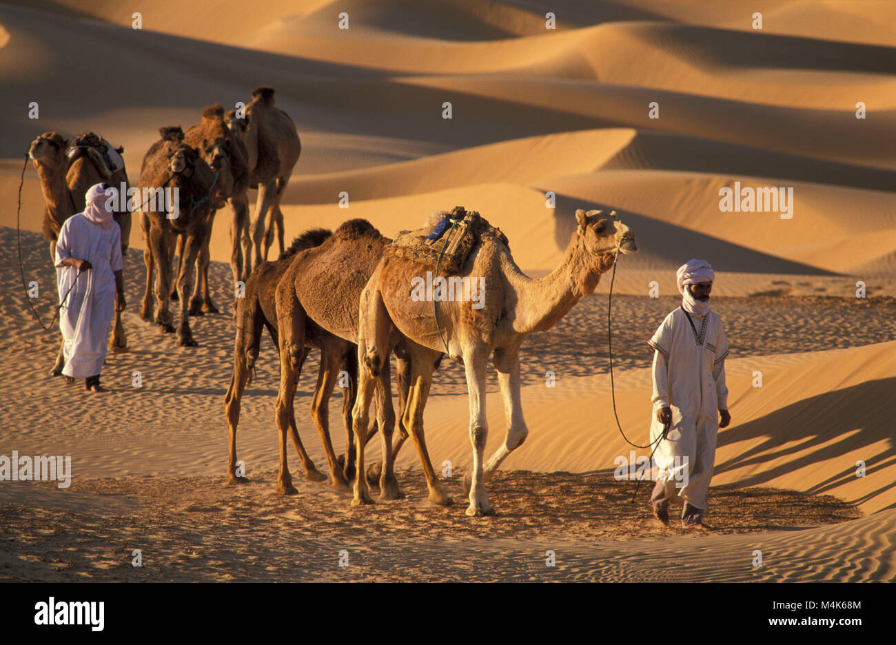 Desert bedouins hi-res stock photography and images - Alamy