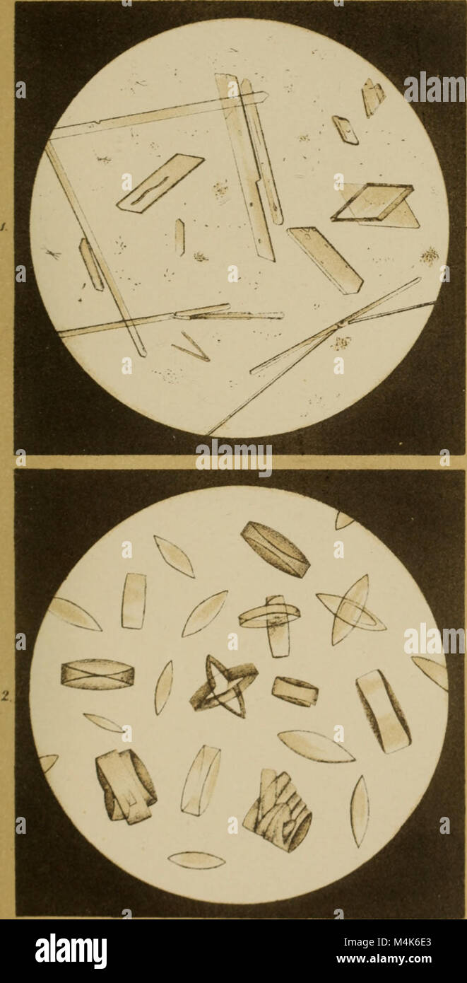 This 1871 atlas provides a detailed visual guide to physiological and ...