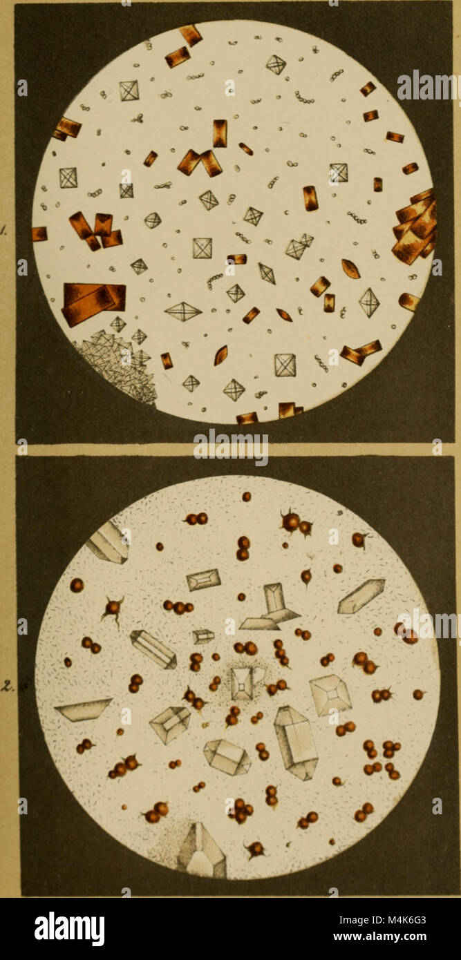 This 1871 atlas presents detailed illustrations of physiological and ...