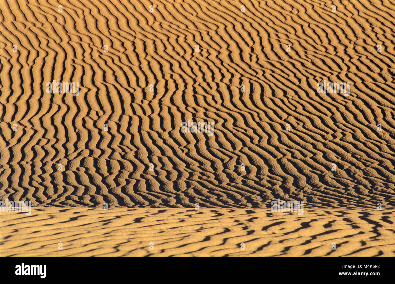 Algeria. Timimoun. Western Sand Sea. Grand Erg Occidental. Sahara ...
