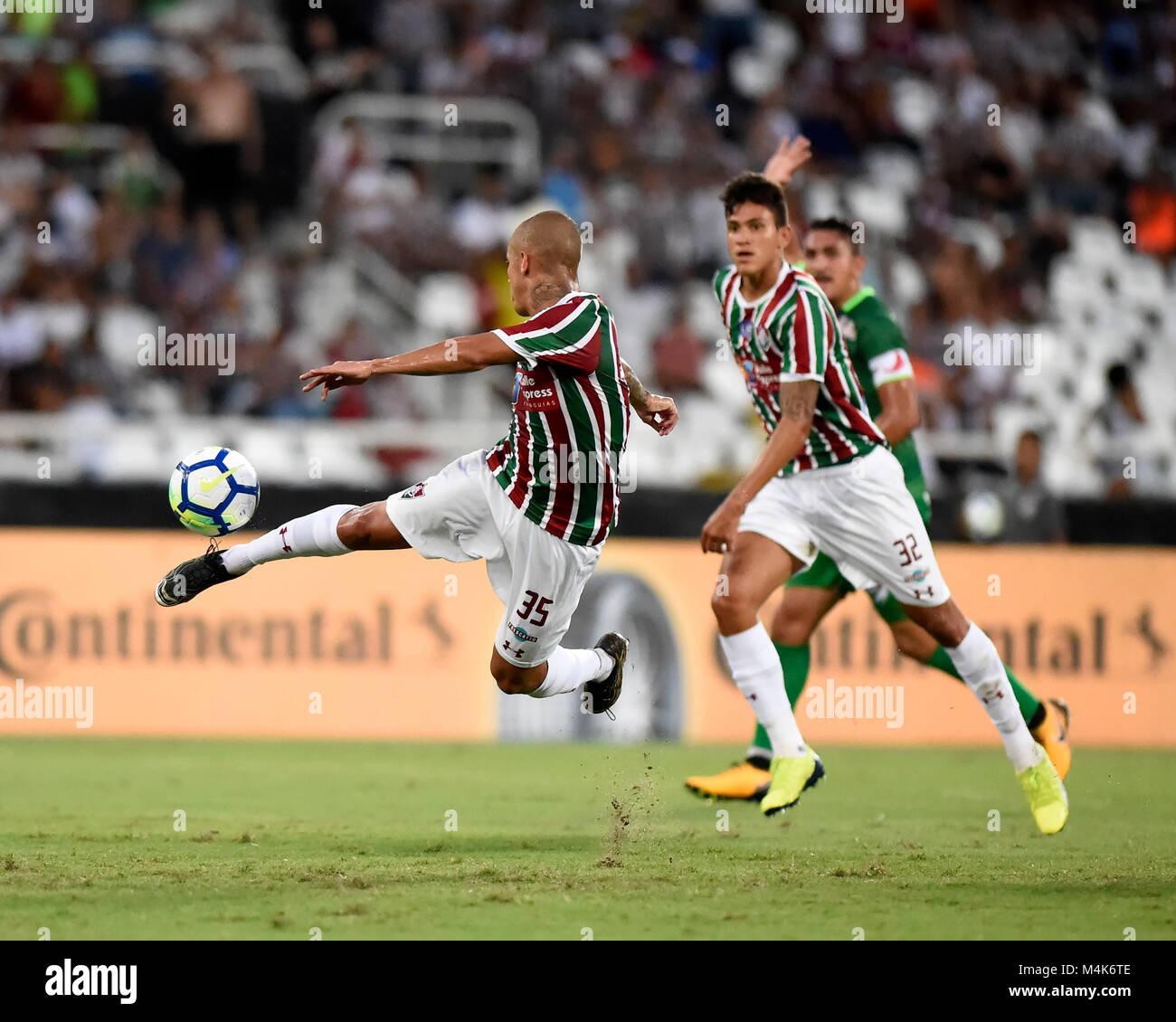 Salgueiro hi-res stock photography and images - Alamy