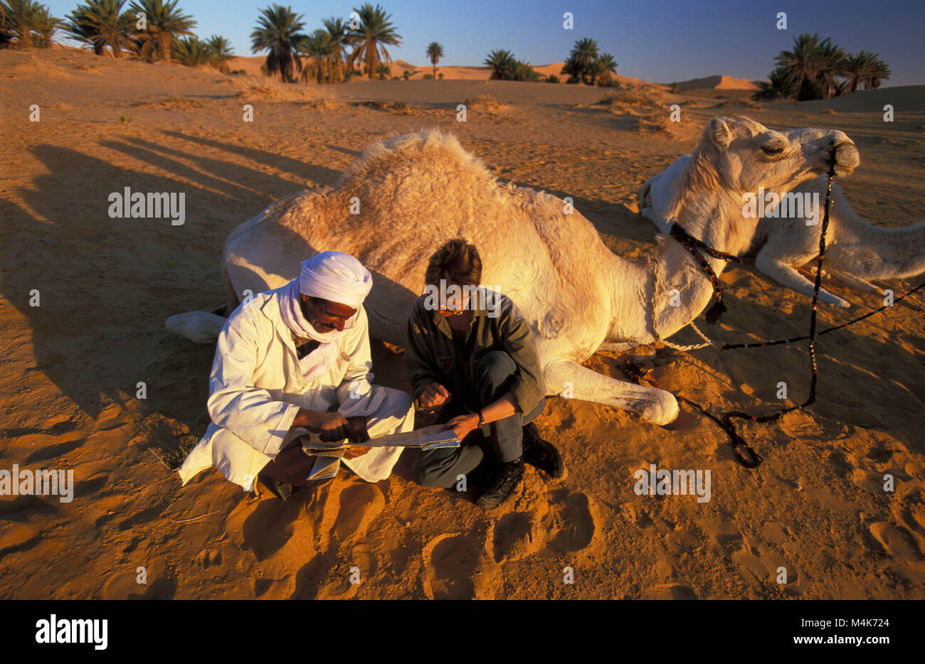 Algerian Desert Map