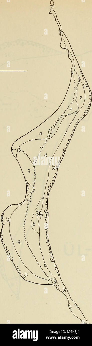 The Atoll Research Bulletin, published in 1951, presents scientific ...