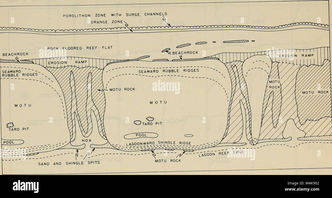 The Atoll Research Bulletin, published in 1967, focuses on the ...