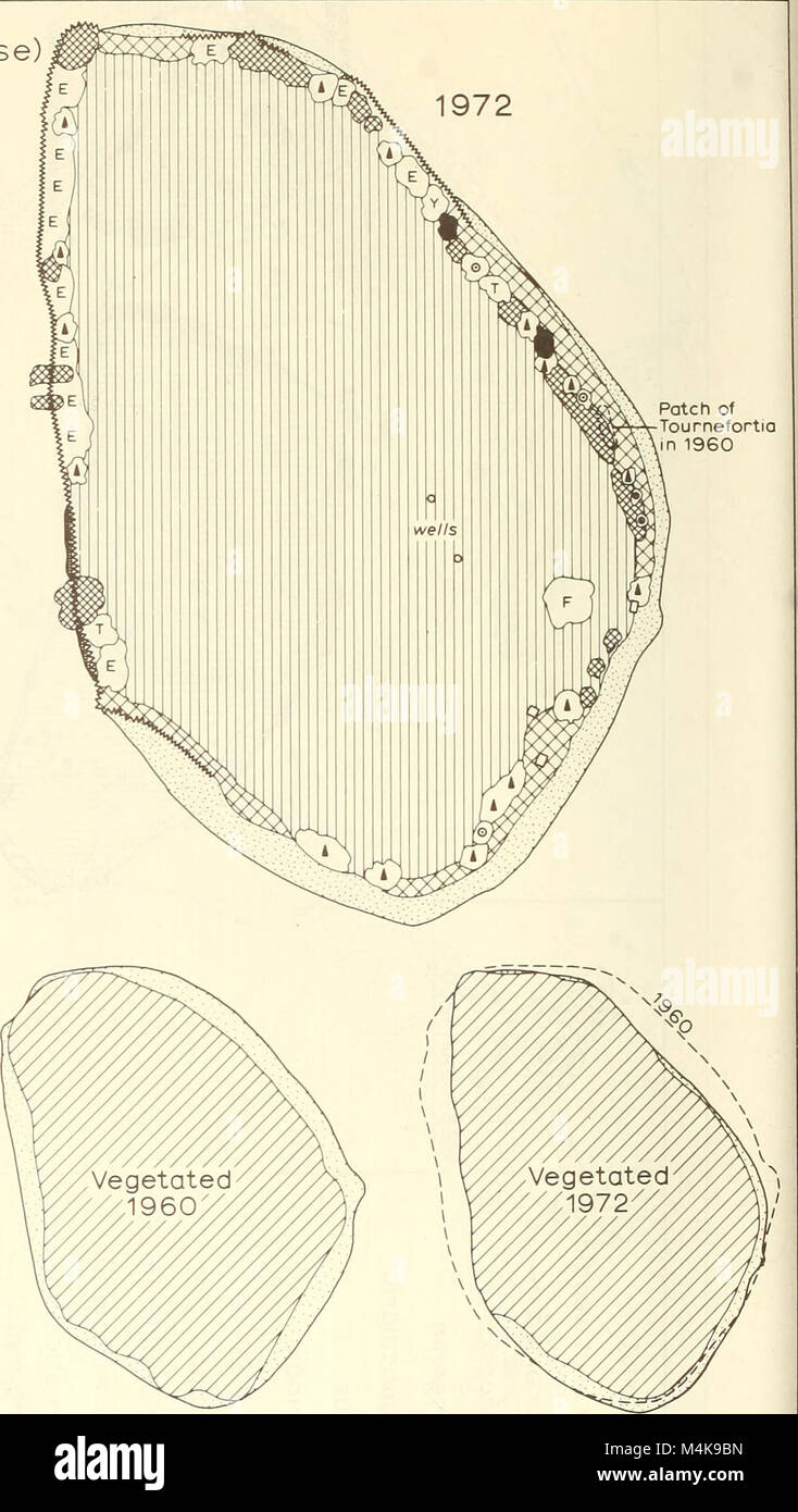 The 1981 Atoll Research Bulletin presents studies on coral atolls ...