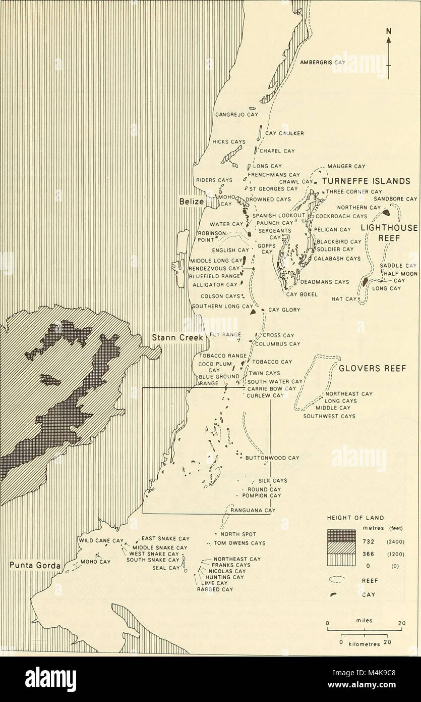 The 1981 'Atoll Research Bulletin' features scientific studies on coral ...