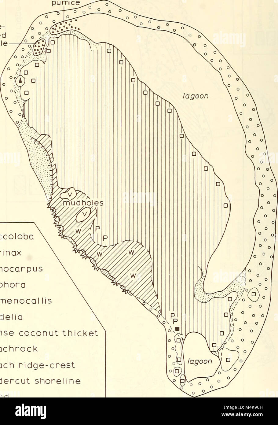 The 1981 Atoll Research Bulletin compiles scientific studies on coral ...