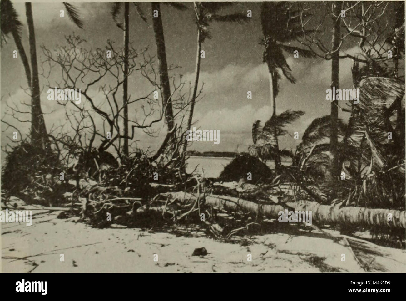 The *Atoll Research Bulletin* (1983) provides scientific findings on ...