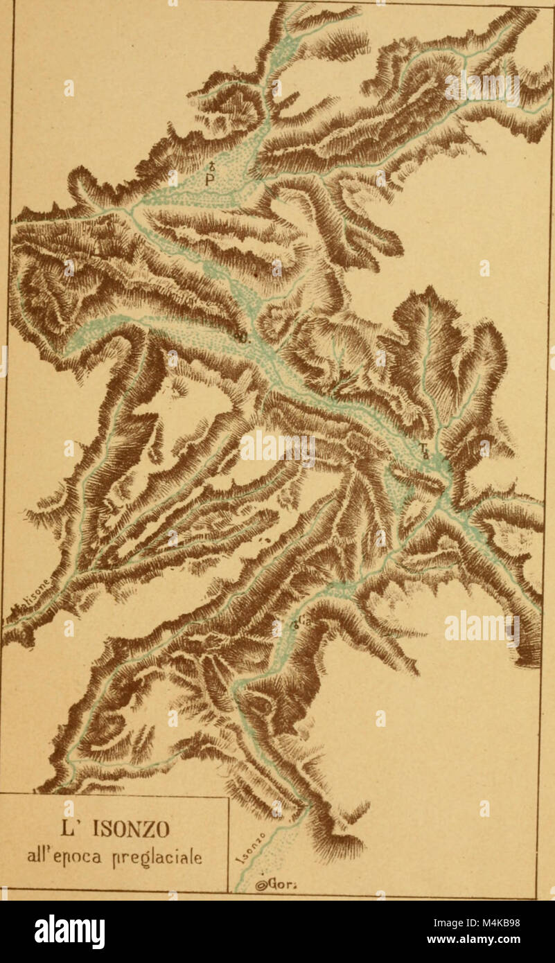 The 1890 volume of Atti del Museo Civico di Storia Naturale di Trieste ...