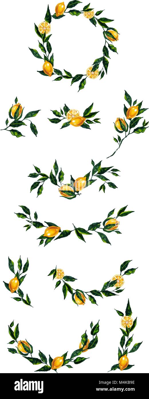 Lemon tree branches Stock Vector Images - Alamy