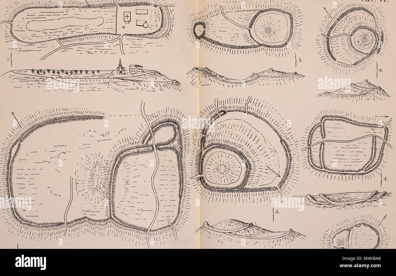 'Atti del Museo Civico di Storia Naturale di Trieste' (1903) is a ...