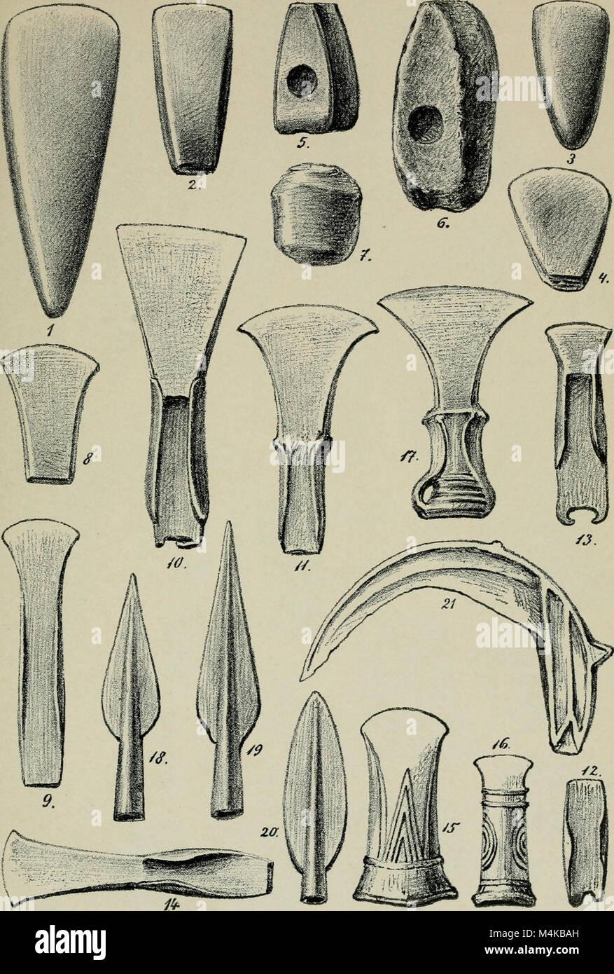 The 1903 proceedings of the Civic Museum of Natural History in Trieste ...