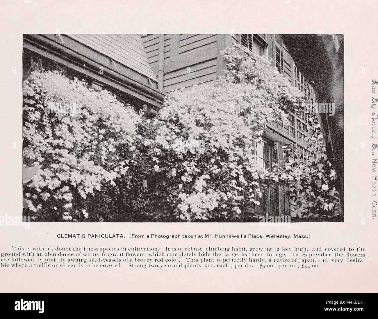 'Attractive Home Grounds' (1894) offers practical advice and design ...