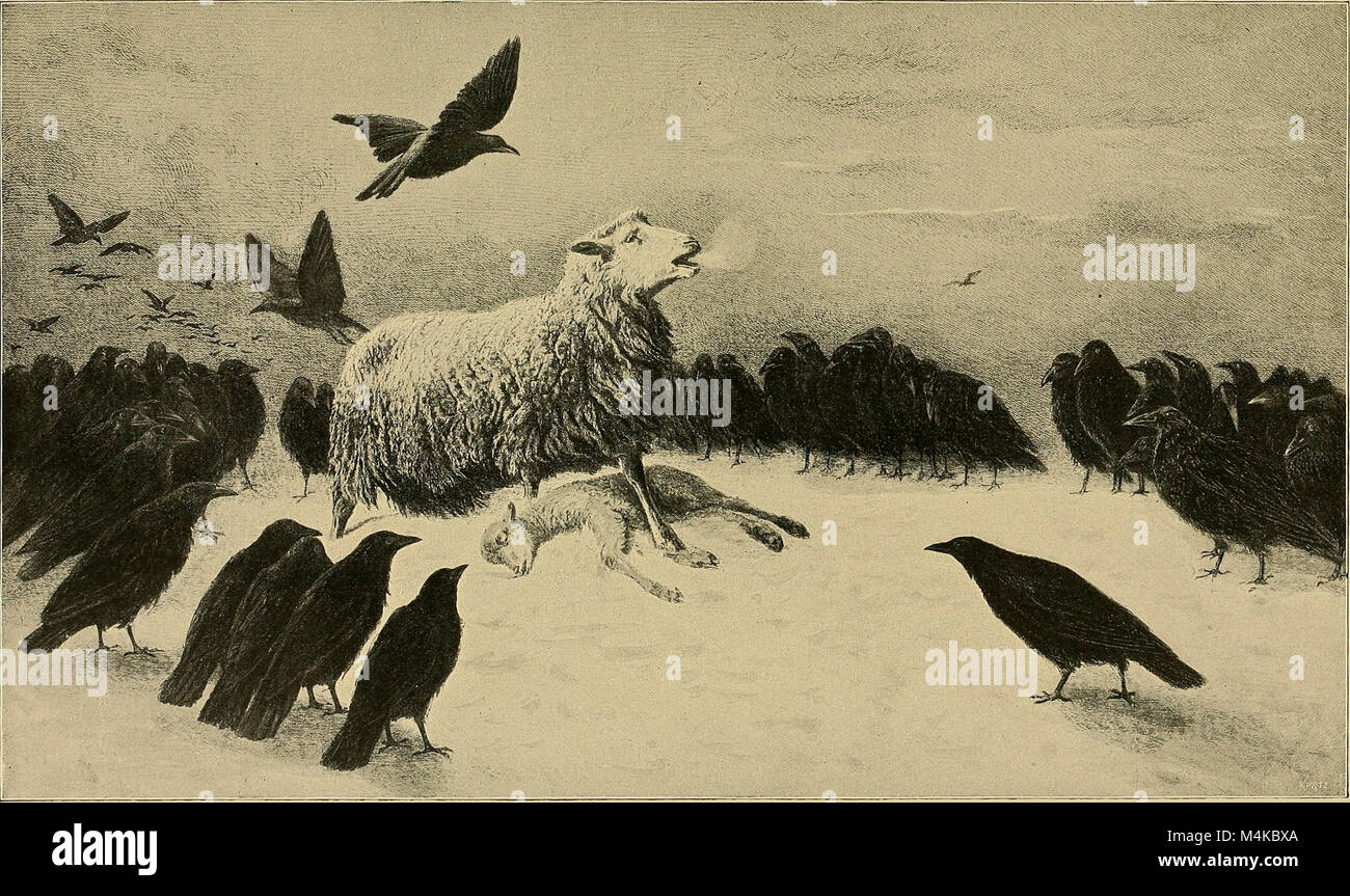 August Schenck - Agony Stock Photo - Alamy