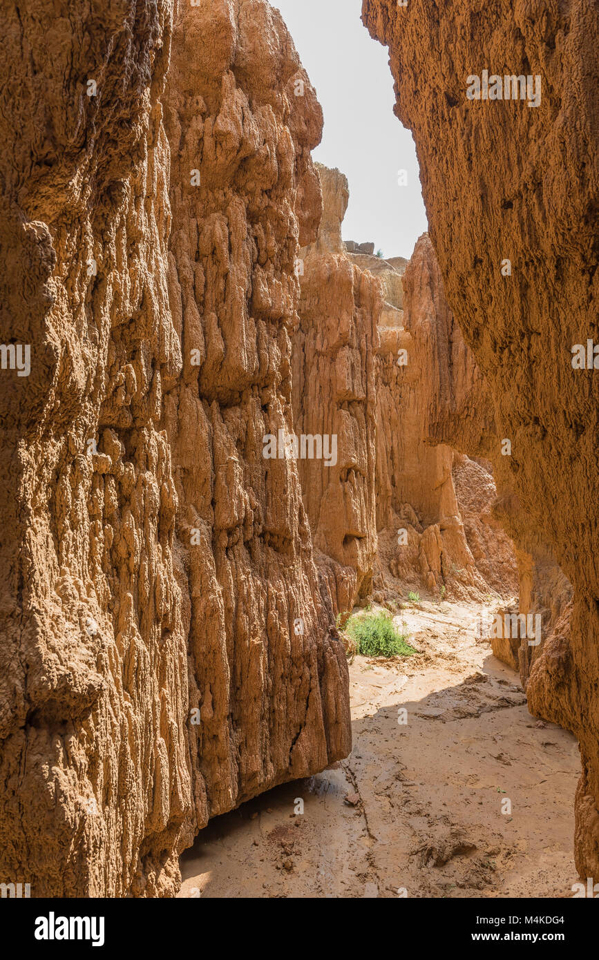 A narrow erosion canyon at the Koranna Mountain near Excelsior in the ...