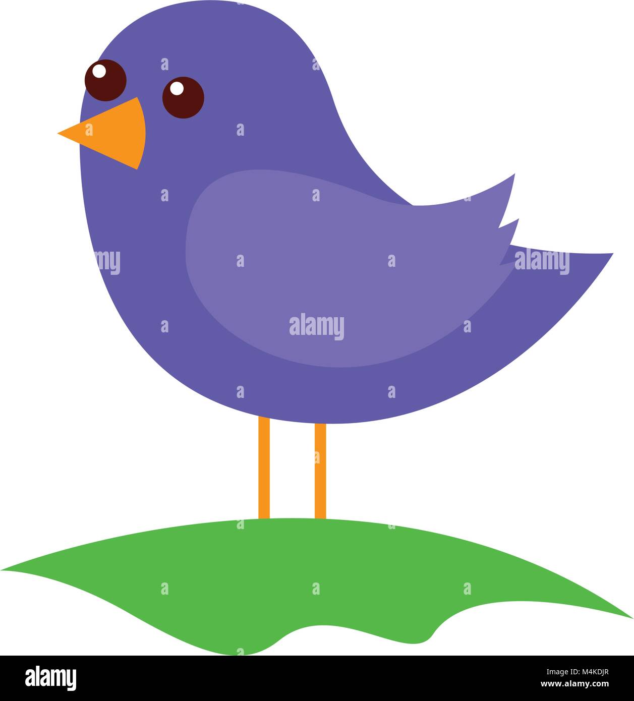 Chicken standing and looking Stock Vector Images - Alamy