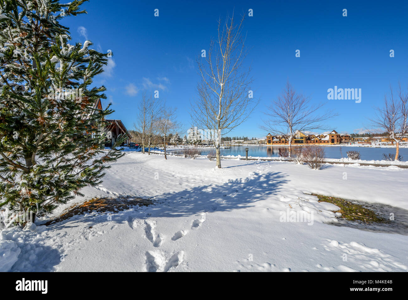 Sunny day pacific northwest hi-res stock photography and images - Alamy