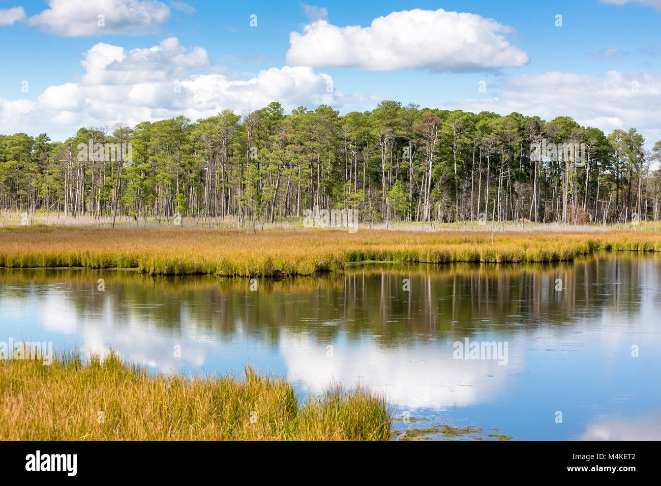 Blackwater National Wildlife Refuge in Dorchester County, Maryland ...