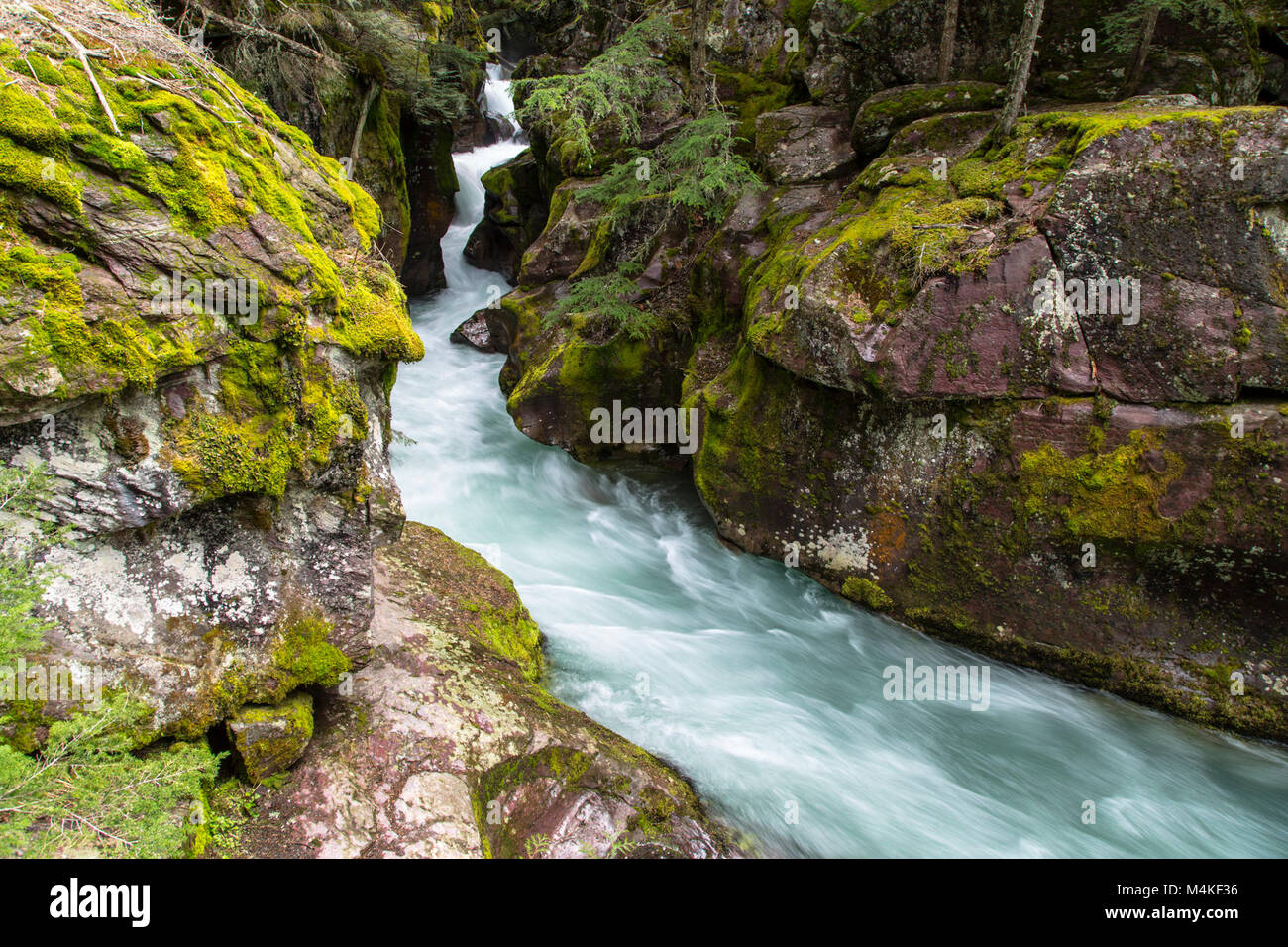 Avalanche Creek Gorge Stock Photo - Alamy