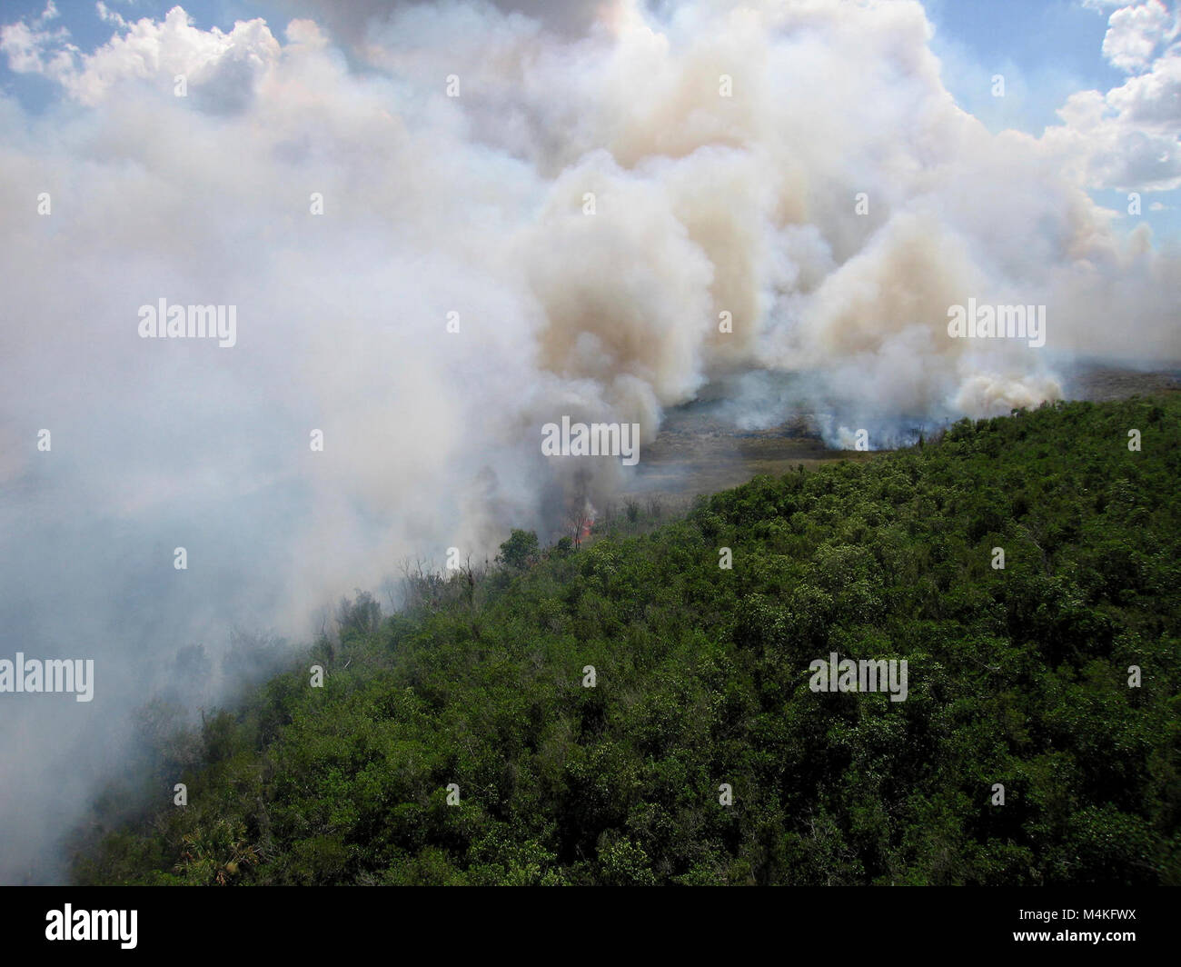 Prescribed coastal prairie burn coordinated by EVER Fire and Aviation ...
