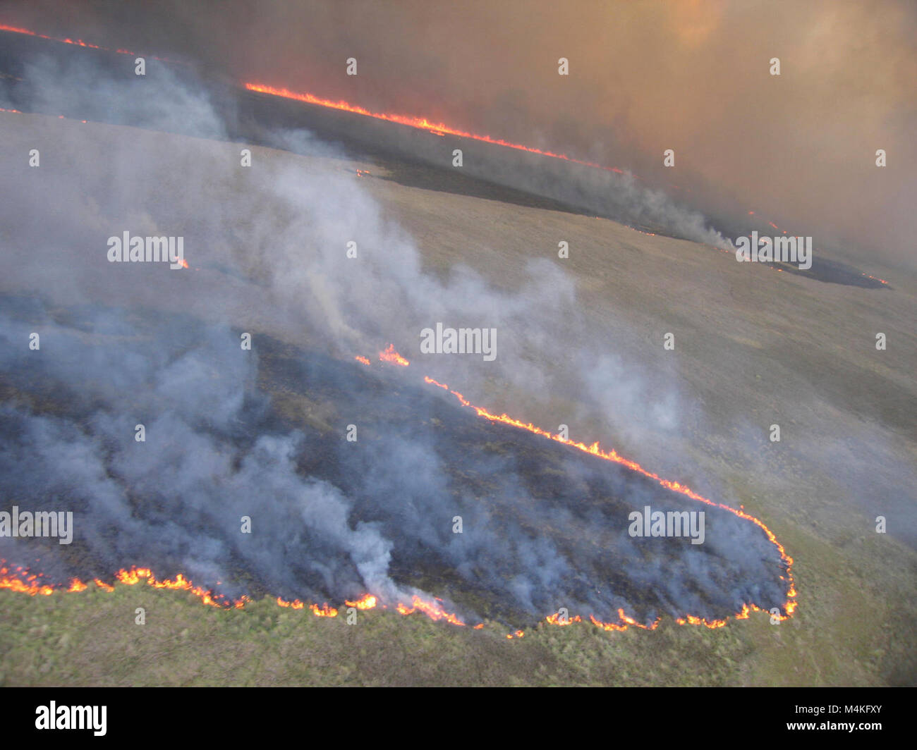 Prescribed coastal prairie burn coordinated by EVER Fire and Aviation ...