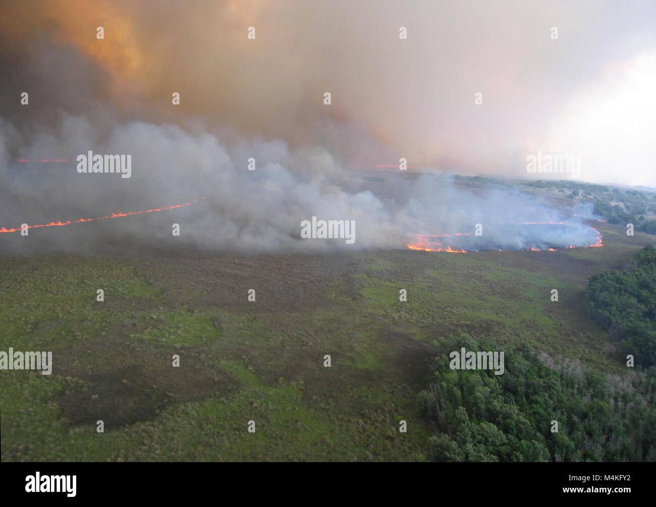 Prescribed coastal prairie burn coordinated by EVER Fire and Aviation ...