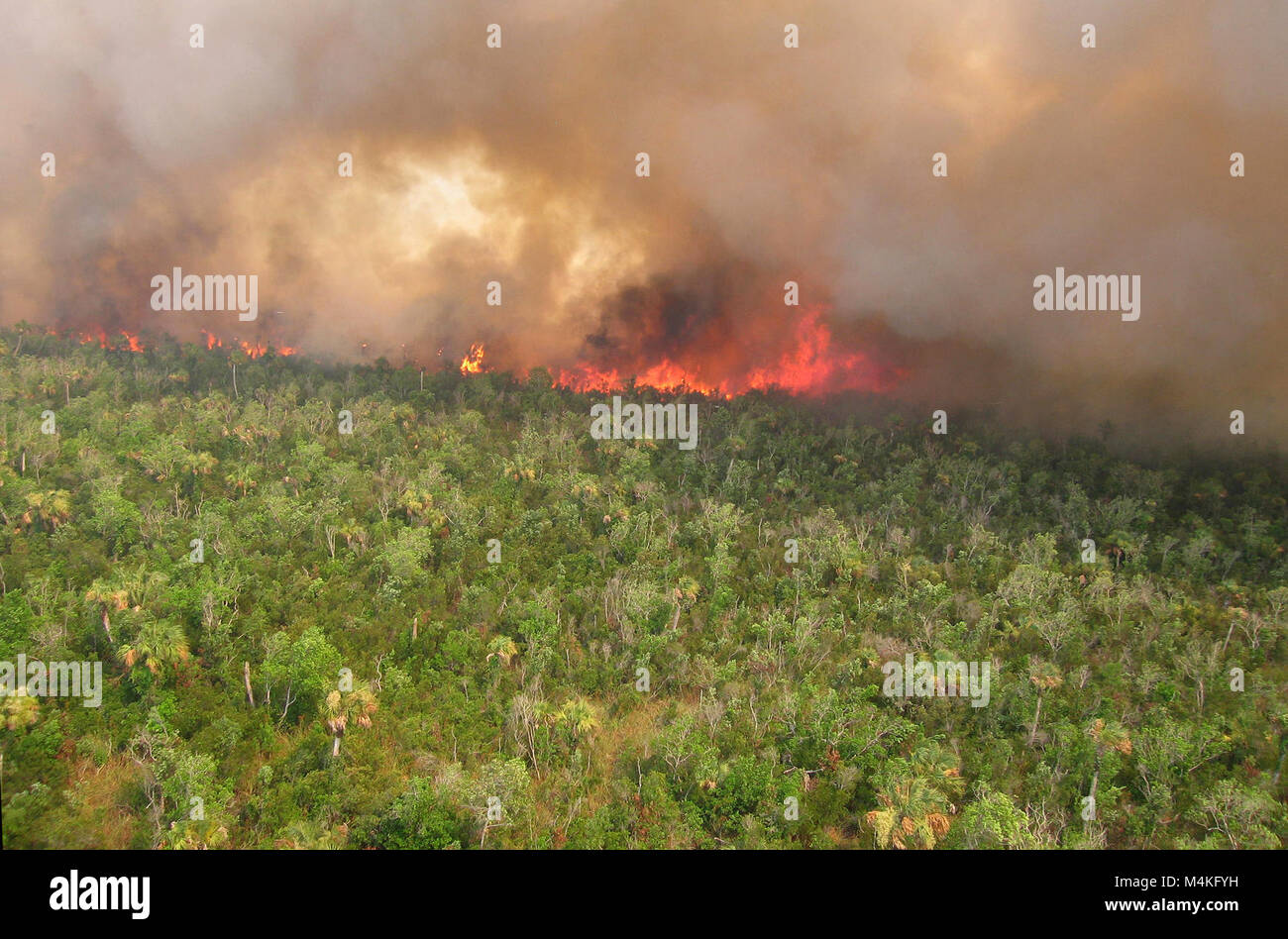 Prescribed coastal prairie burn coordinated by EVER Fire and Aviation ...