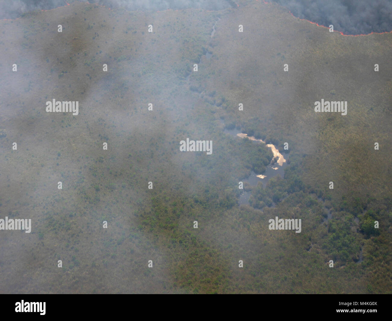 Prescribed coastal prairie burn coordinated by EVER Fire and Aviation ...