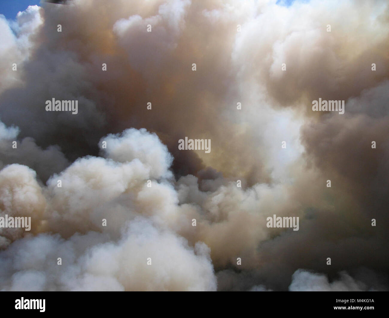 Prescribed coastal prairie burn coordinated by EVER Fire and Aviation ...